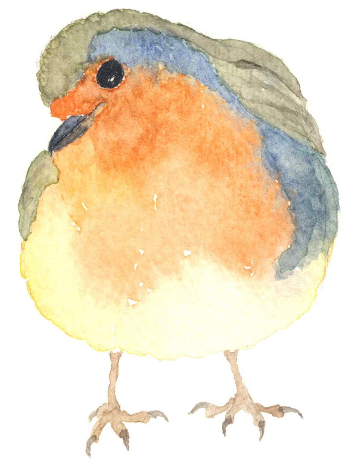 Orange and Blue Watercolor Robin Fine Art Print - Etsy