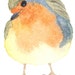 Orange and Blue Watercolor Robin Fine Art Print - Etsy