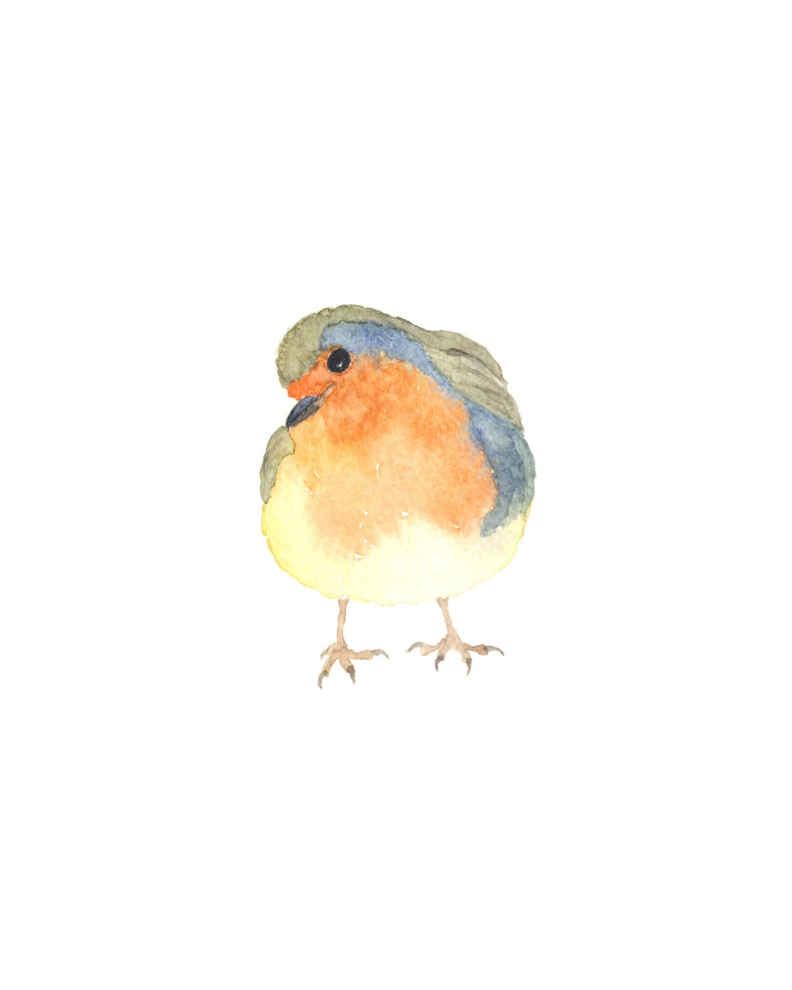 Orange and Blue Watercolor Robin Fine Art Print - Etsy