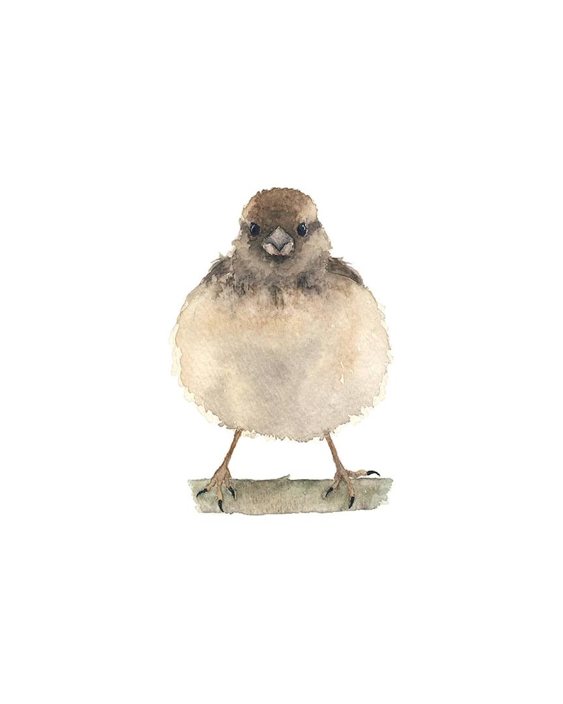 Young Brown Watercolor Bird - Fine Art Print - Etsy