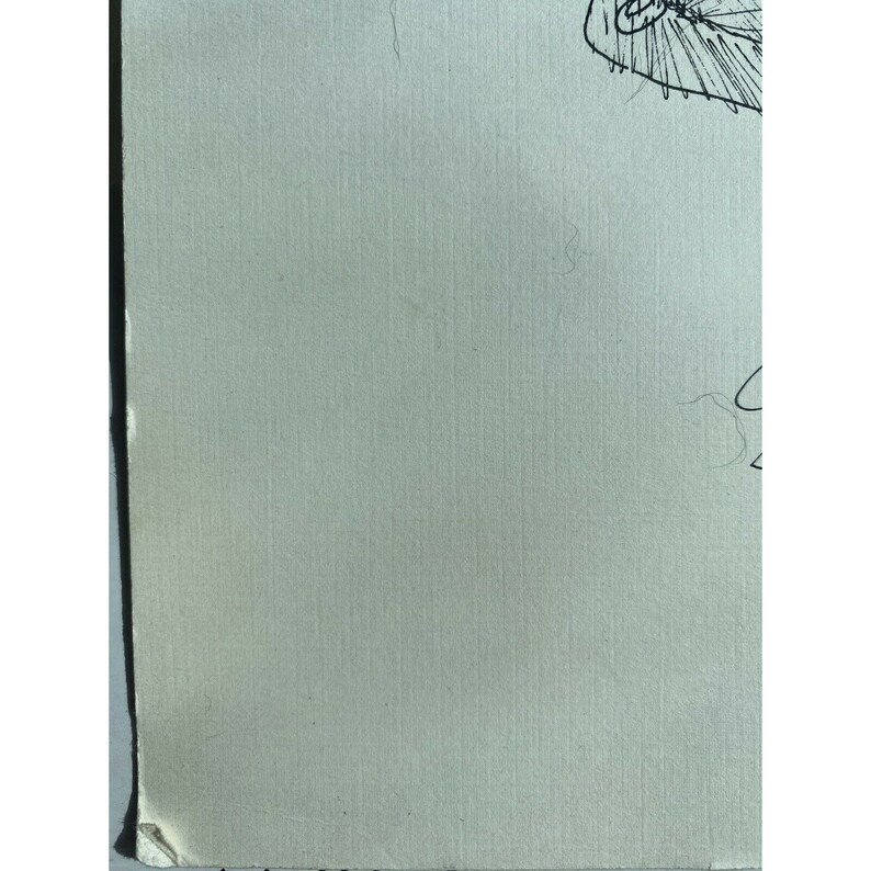 Jim Snook Studio Artist Comic Cartoons 88 New Retriever Signed Sketch ...