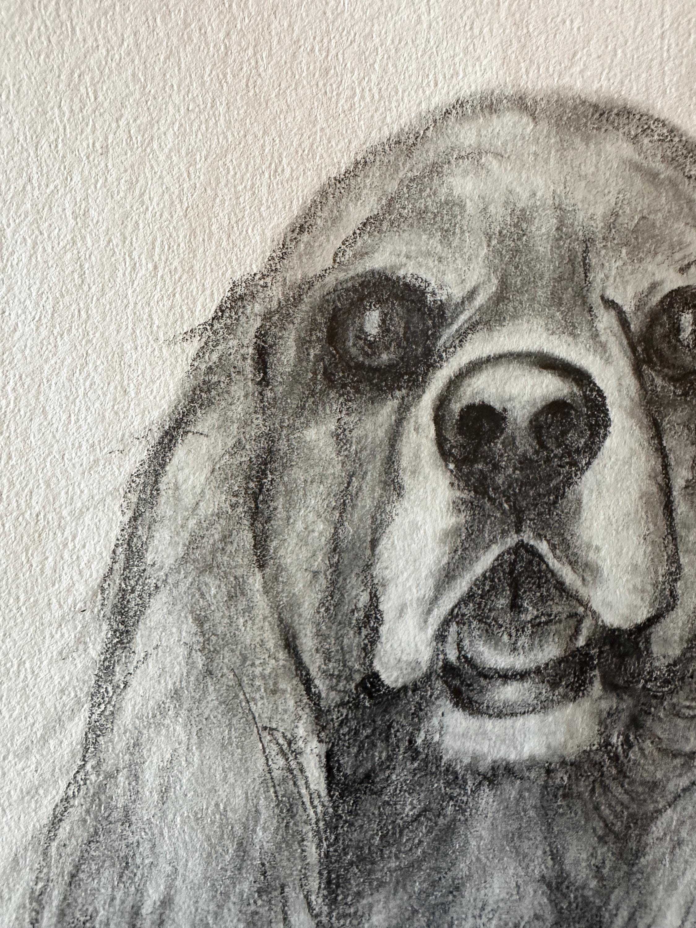 Sketch Drawing of a Cocker Spaniel Dog Pencil Art Drawing Picture Print ...