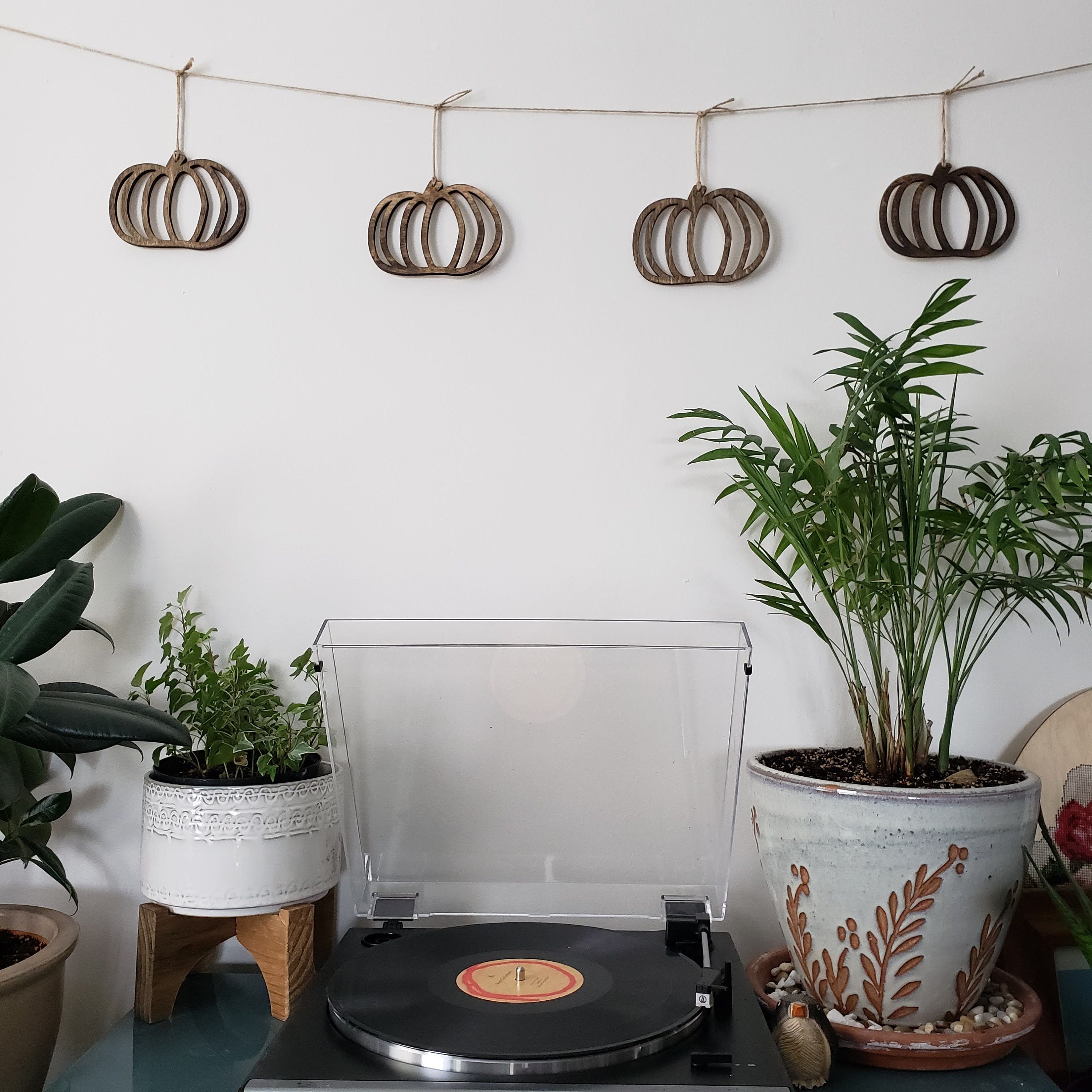 Set de 5 calabazas para proyectos de bricolaje Decoración de Halloween ...