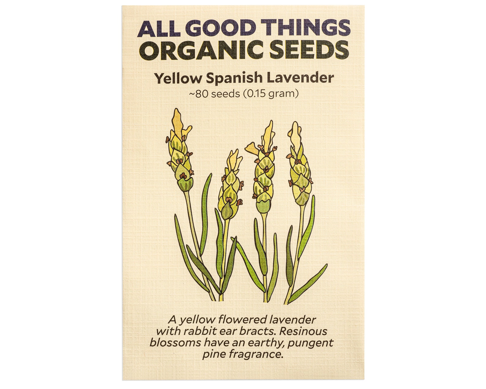 Yellow Spanish Lavender Seeds 80: Certified Organic - Etsy