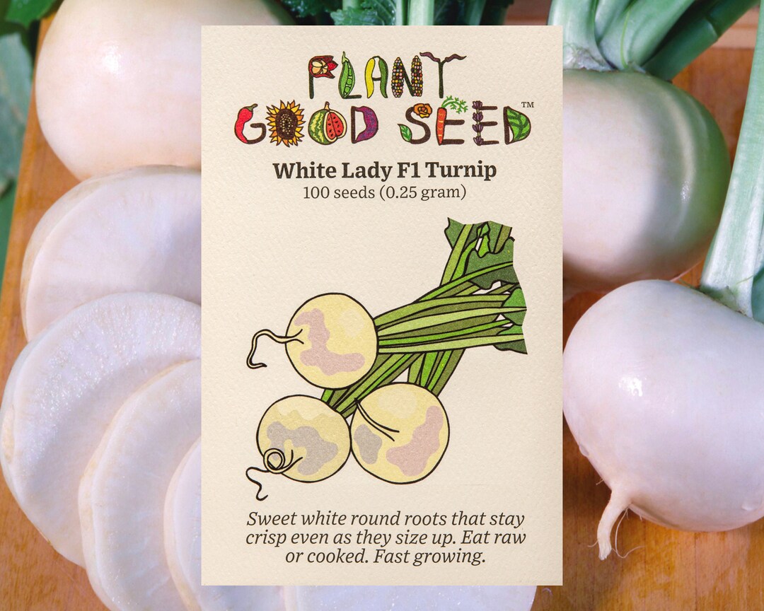 White Lady F1 Turnip Seeds 200: Non-gmo Untreated Seeds - Etsy
