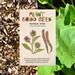 Red Callaloo Amaranth Seeds 600: Certified Organic, Non-gmo, Heirloom ...