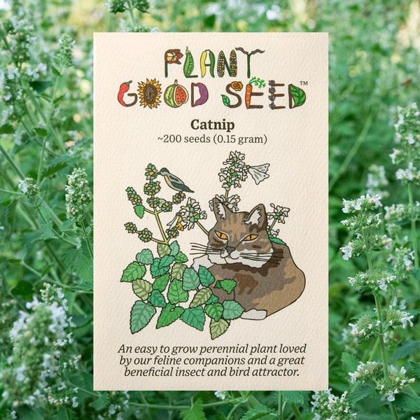 Catnip Seeds - Etsy