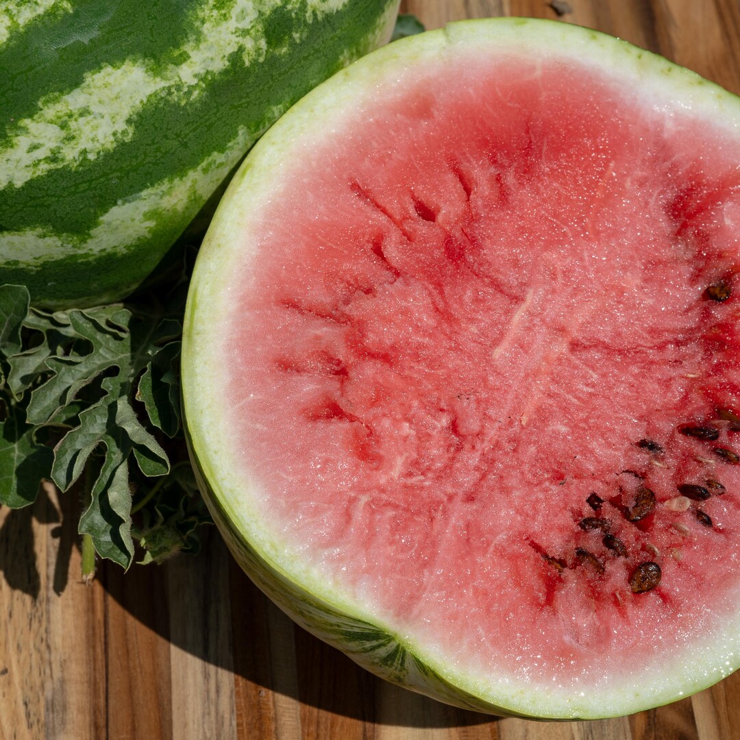 Sweet Dakota Rose Watermelon Seeds: Packet or Bulk Seed Certified ...