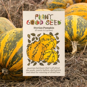 Styrian Hulless Pumpkin Seeds for Planting: Organic Seed Oil Heirloom ...