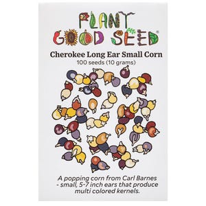 Cherokee Long Ear Small Popping Corn Seed Packet Grow for Ornamental ...