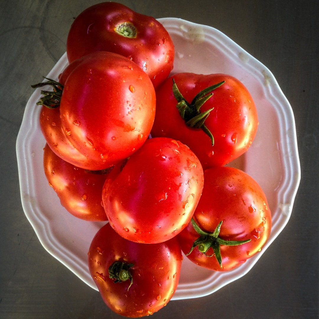 Czech Bush Tomato Seeds 50: Certified Organic Non-gmo - Etsy