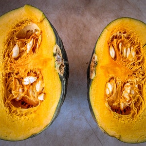 Burgess Buttercup Winter Squash Seeds (~20): Certified Organic, Non-gmo ...