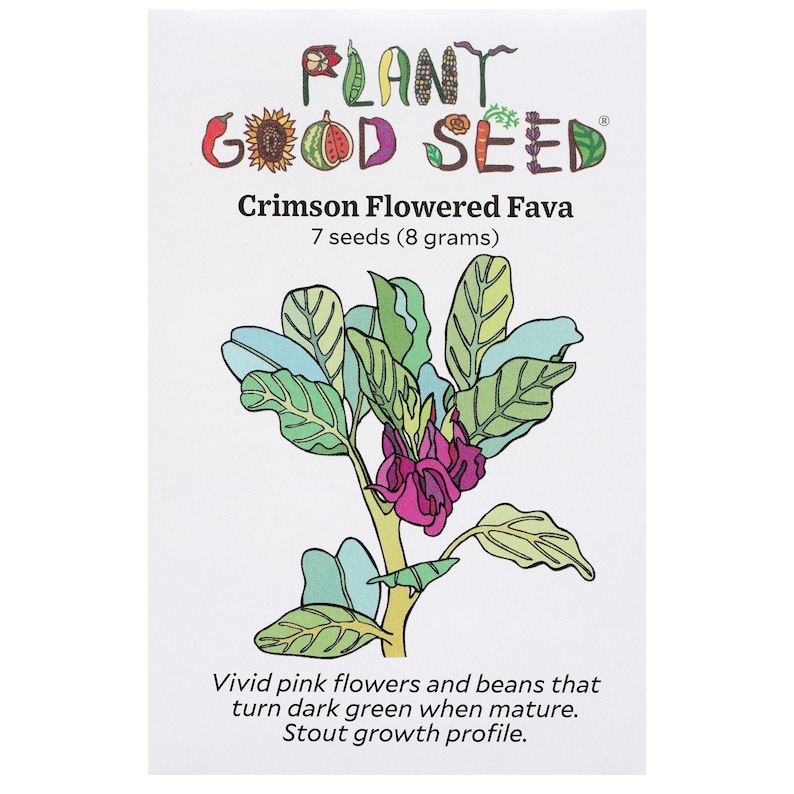 Crimson Flowered Fava Beans, Certified Organic Heirloom Seeds Rare Fava ...