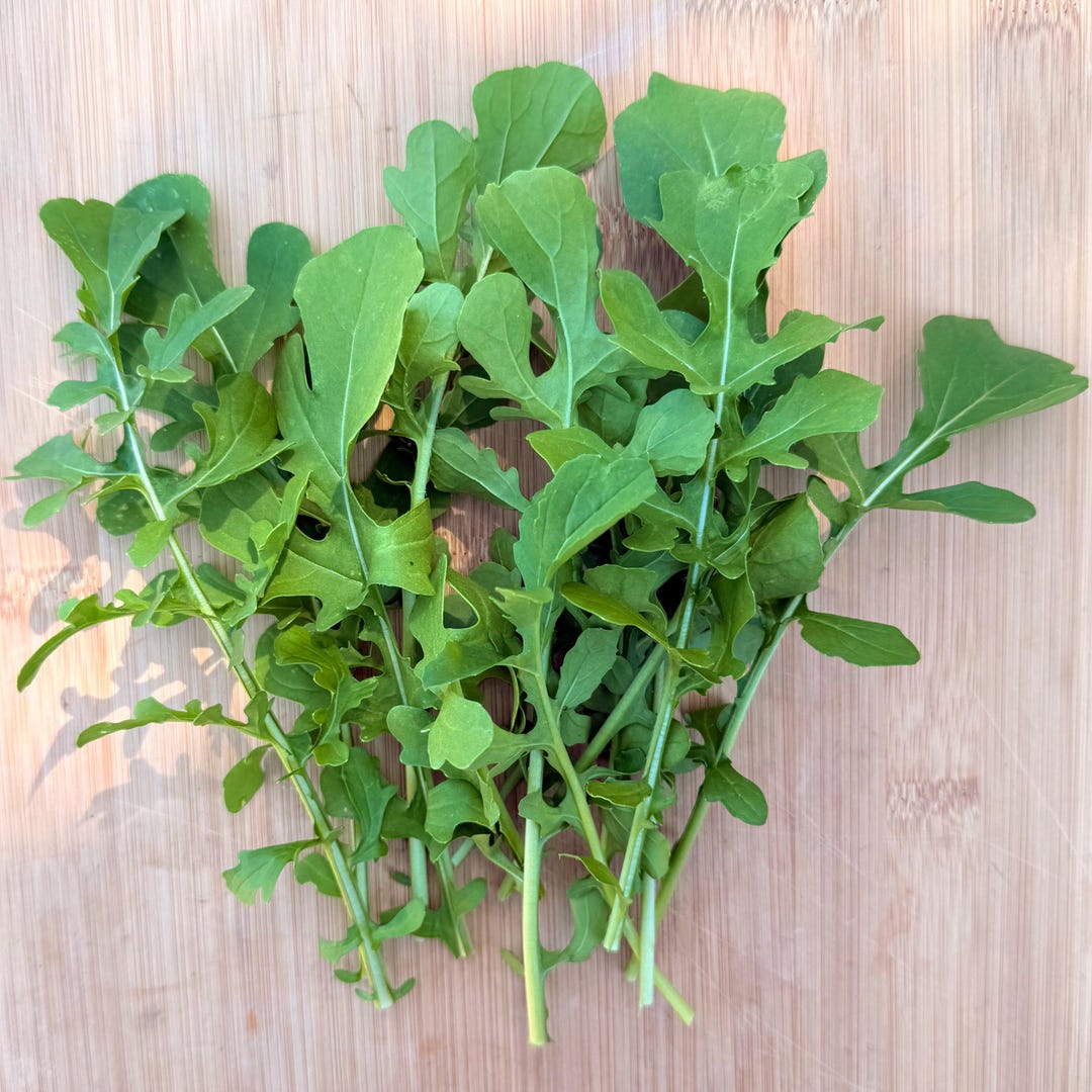 Esmee Arugula Seeds for Planting: New Culinary Strain, Narrow Spicy ...
