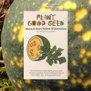 Moon and Stars Watermelon Seeds Giant Oblong Heirloom Watermelon W ...