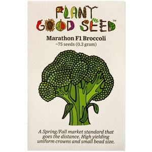 Marathon F1 Broccoli Seeds, Calabrese Seeds, Organic, Untreated, Non ...