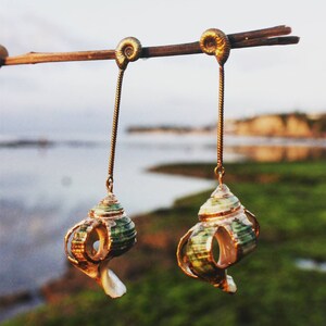 Green Sea Snail Earrings, Electroformed Shells, Sea Jewelry, Mermaid ...