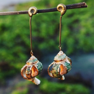 Green Sea Snail Earrings, Electroformed Shells, Sea Jewelry, Mermaid ...