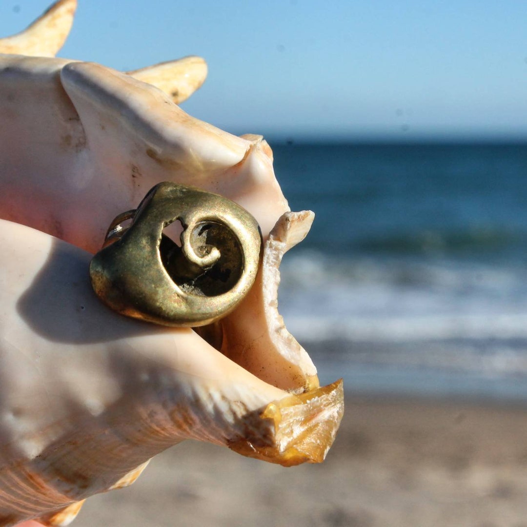 SPIRAL Shell Ring, Sea Shell Ring, Brass Ring, Fractal Jewelry ...