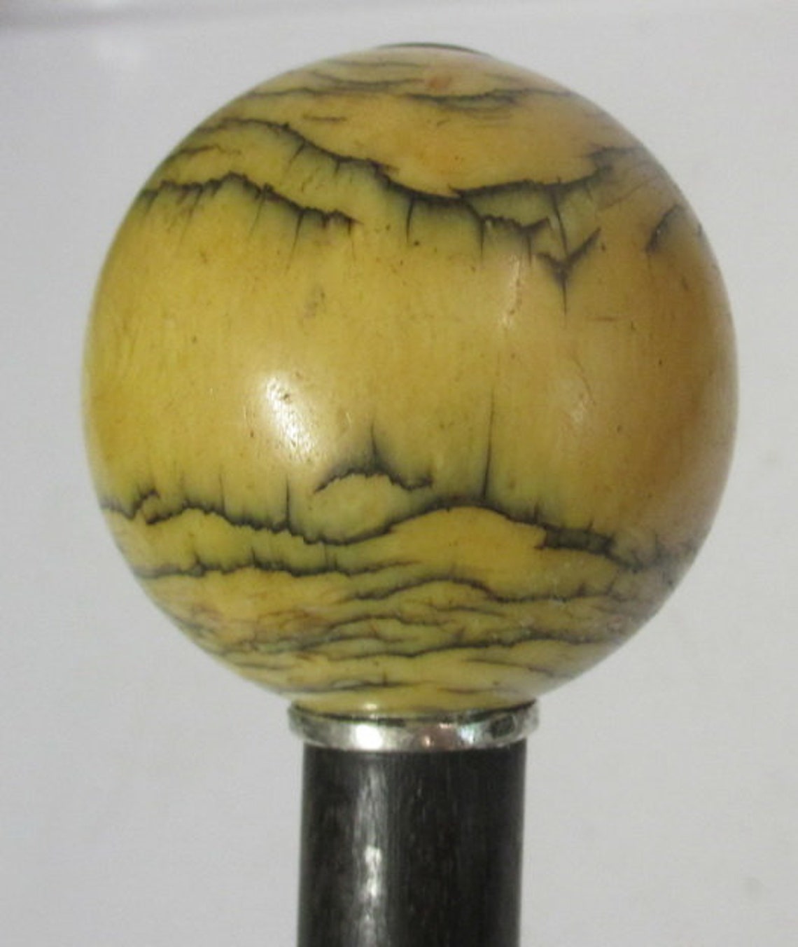 Antique Cane Walking Stick With Ball in Bone and Compass - Etsy