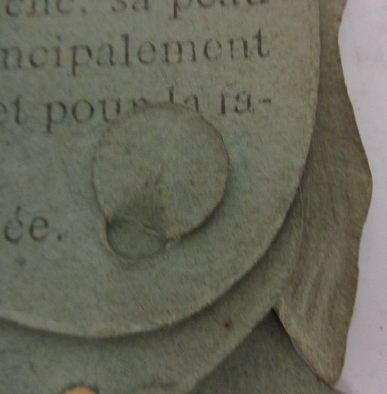 Antique Mechanical Tuck & Sons Paper Toy Animal Calf - Etsy