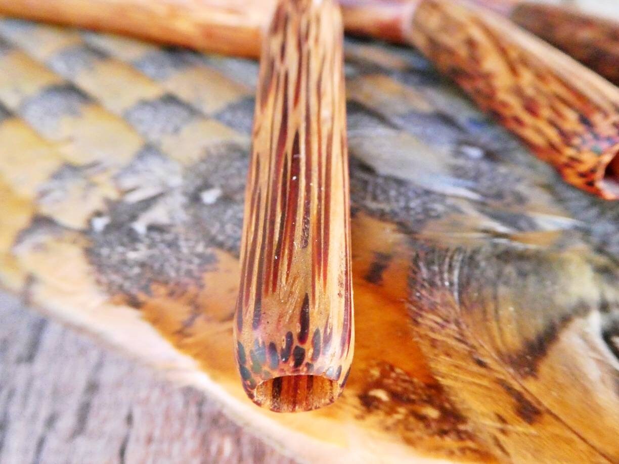 Tepi Rapé Applicator Pipe Made From Coconut Wood High - Etsy UK