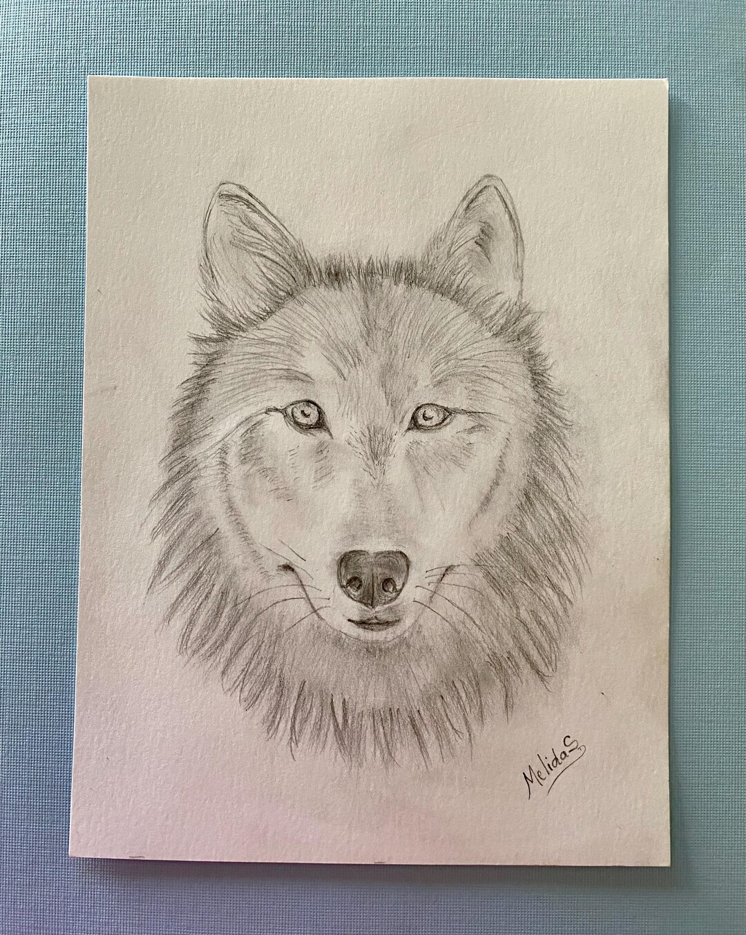 Wolf Art Original Drawing, Wolf Graphite Drawing, Wildlife Art - Etsy