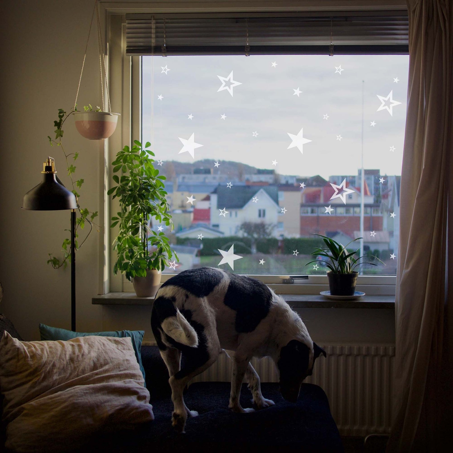 Reusable Star Window Decorations White or Red Window Cling - Etsy UK