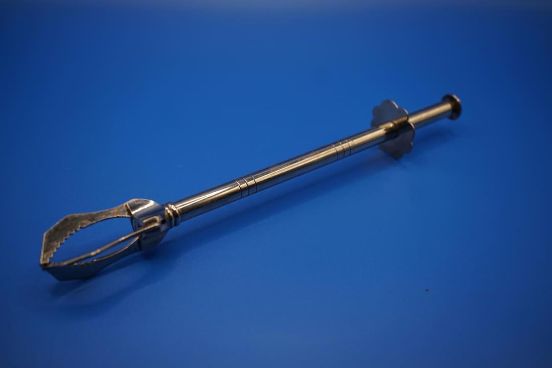 Mechanical Claw Ice Tongs Silver Plated 1880s Adolphe Boulenger - Etsy