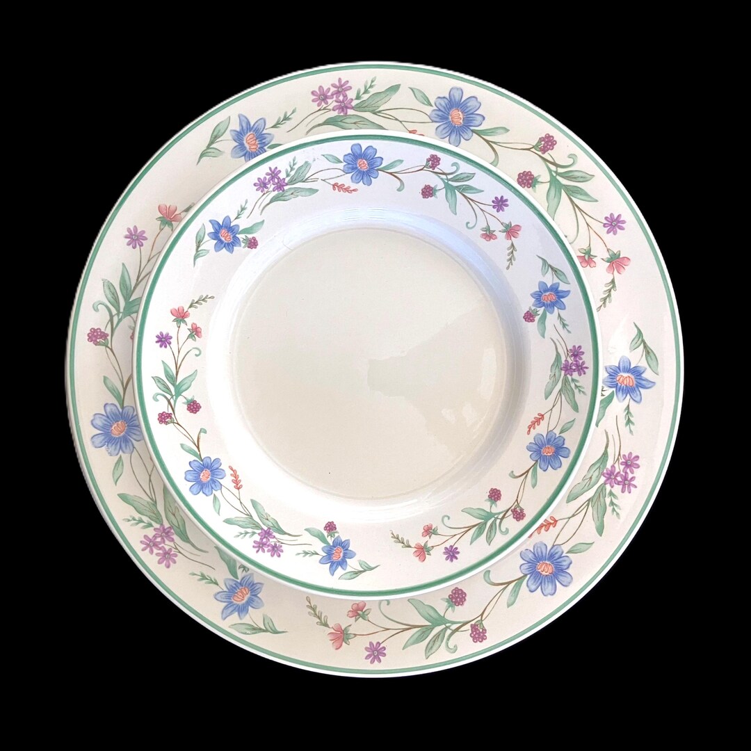 Vintage Oneida Ava Plates | Discontinued Floral Pattern | 11" Dinner 7. ...