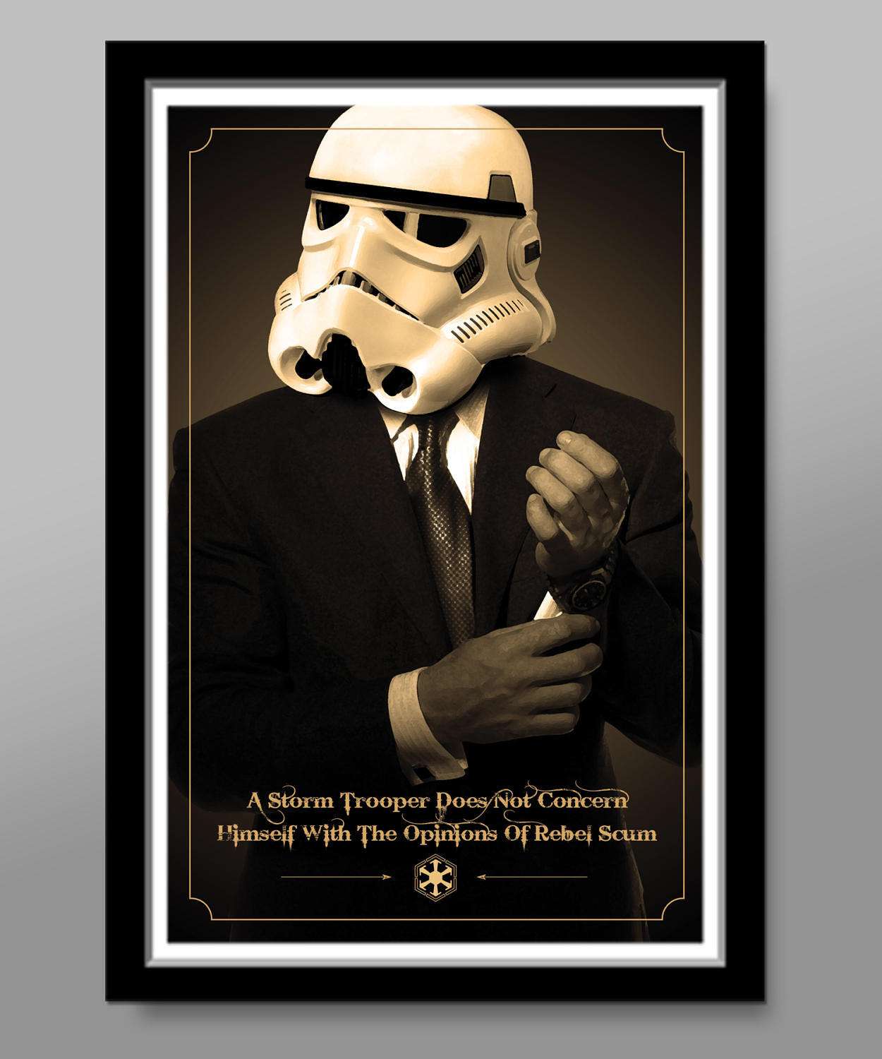 Star Wars Stormtrooper Poster