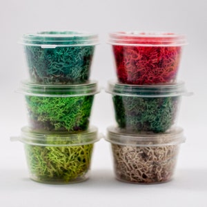 Natural Dark Green Moss, Real Preserved Natural Moss, Iceland Moss ...