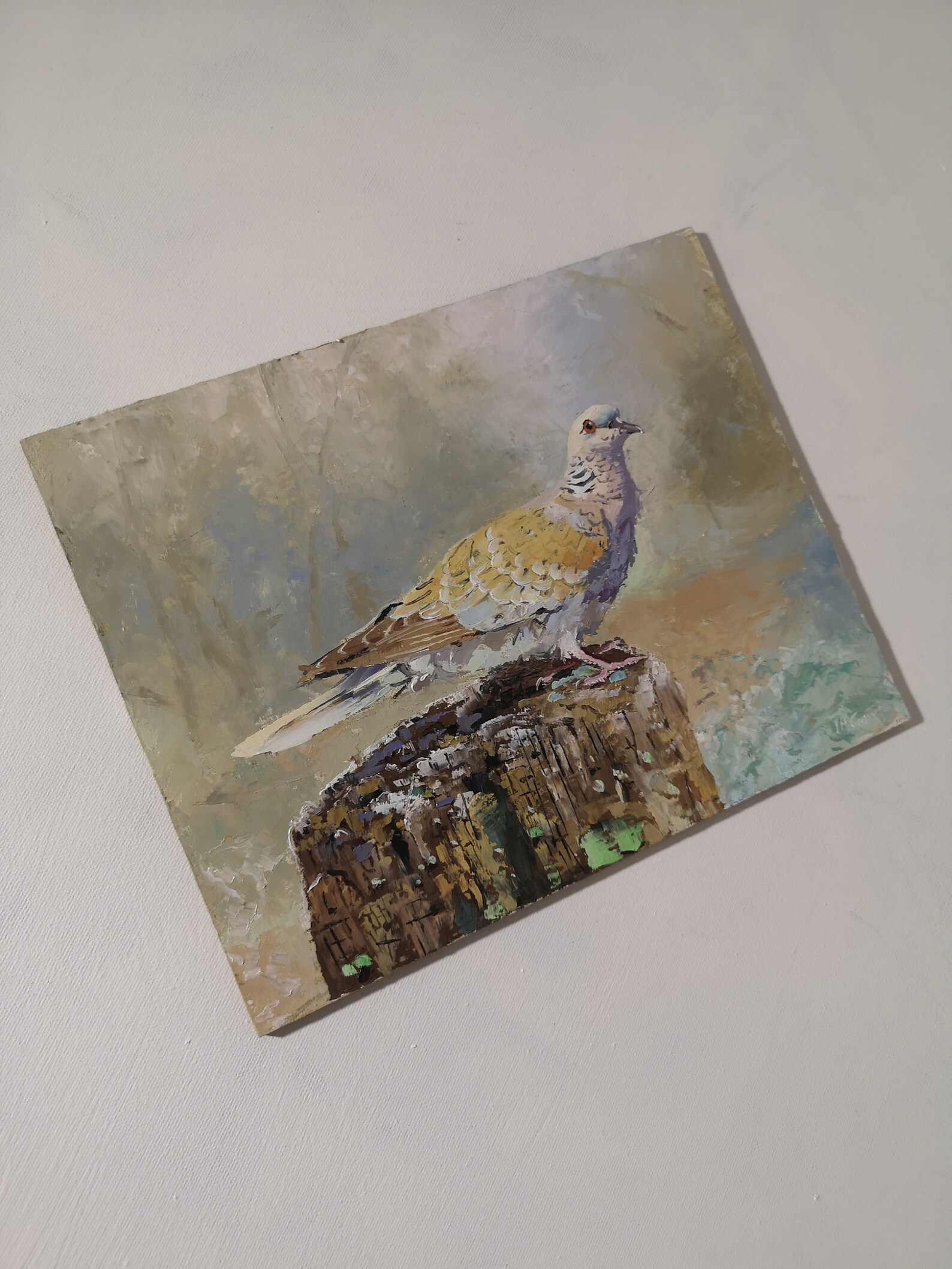Turtle Dove Original Oil Painting: Bird Art on Wood Panel (10x8 Inches ...