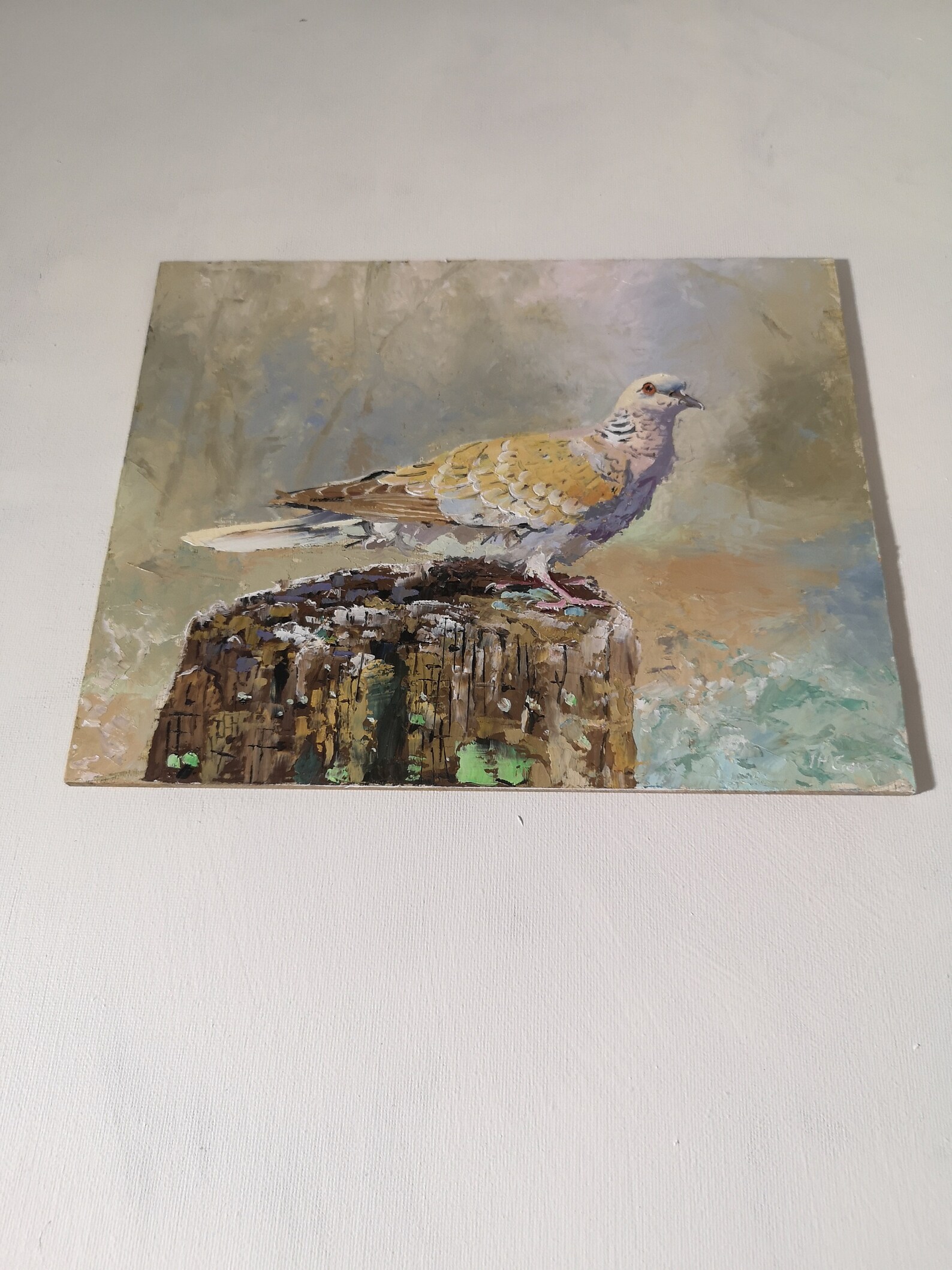 Turtle Dove Original Oil Painting: Bird Art on Wood Panel (10x8 Inches ...