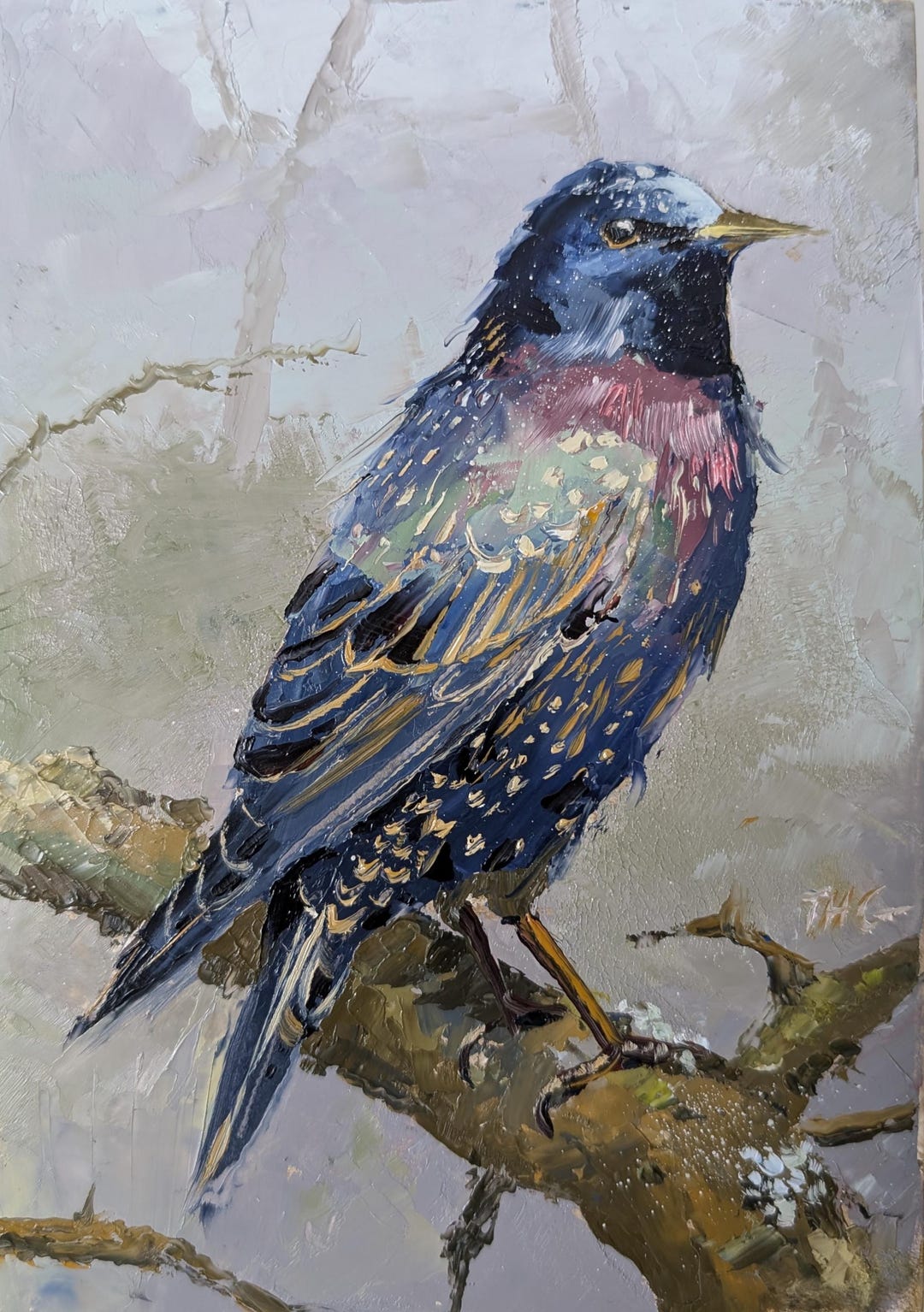 Starling Bird Art: Original Oil Painting on Panel (7x5 Inch) - Etsy