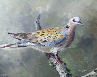 Turtle Dove Painting - Etsy