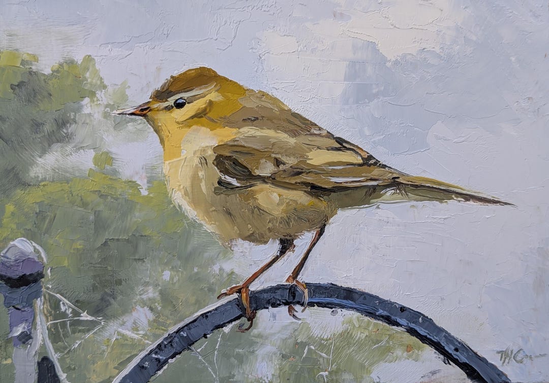Chiffchaff Bird Painting Original Oil on Panel 7x5in - Etsy