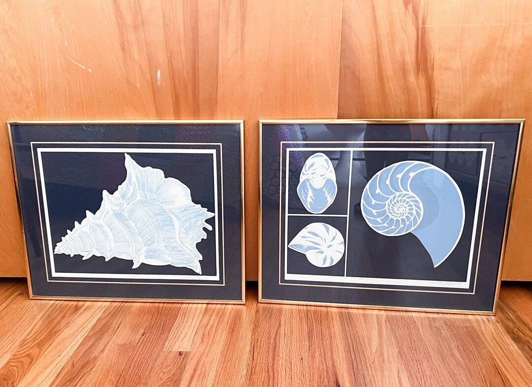 Vintage David Allgood Embossed Serigraph Conch and Nautilus Art Signed ...