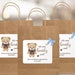We Can Bearly Wait Bags We Can Bearly Wait Gift Bags Teddy Bear Baby ...