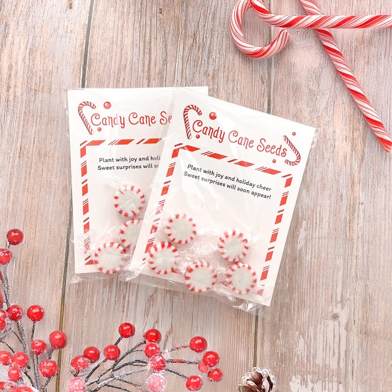 Candy Cane Seeds, Stocking Stuffer for Kids, Adults, Corporate ...