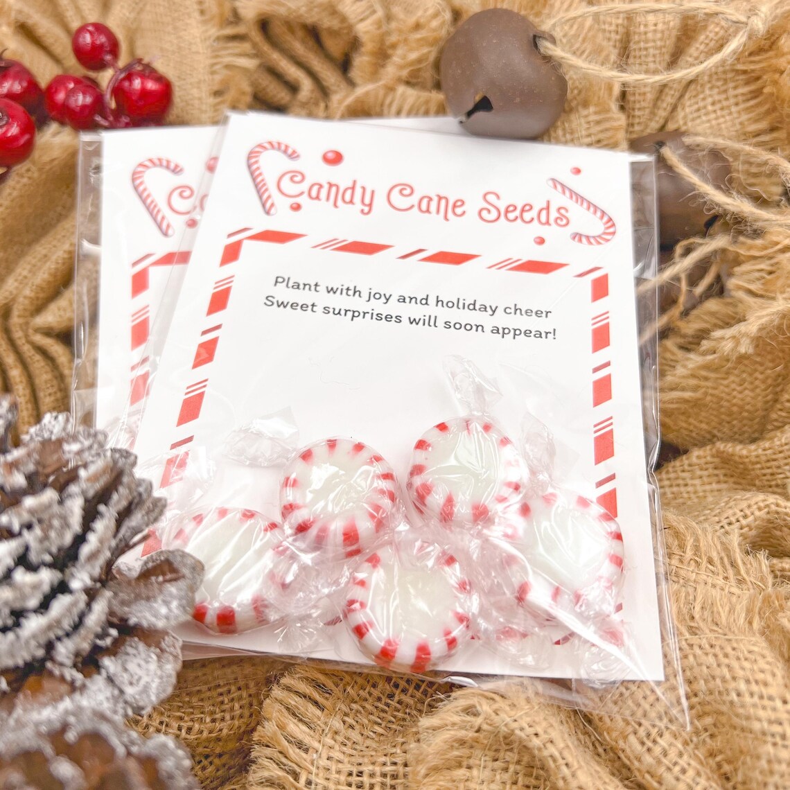 Candy Cane Seeds, Stocking Stuffer for Kids, Adults, Corporate ...