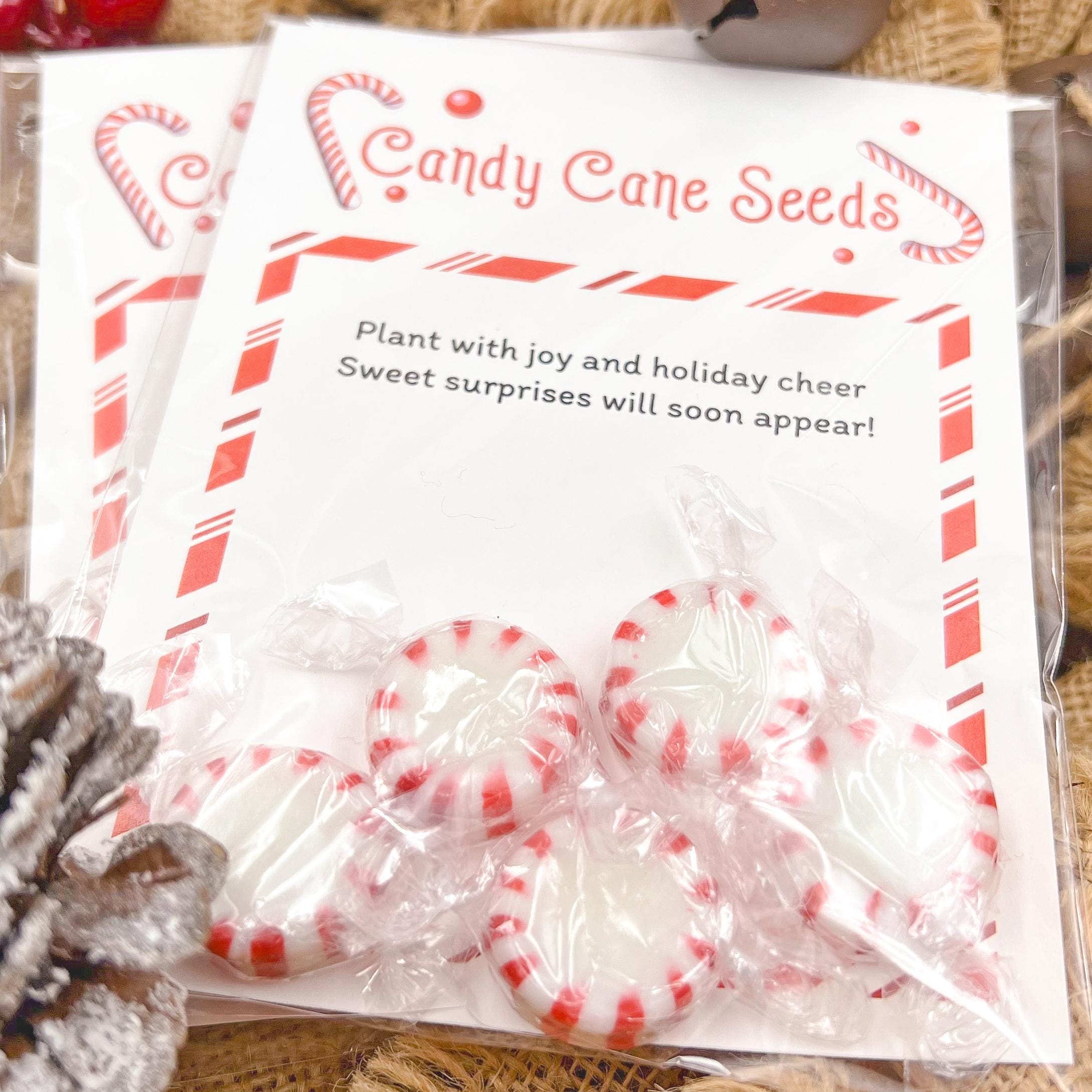 Candy Cane Seeds, Stocking Stuffer for Kids, Adults, Corporate ...
