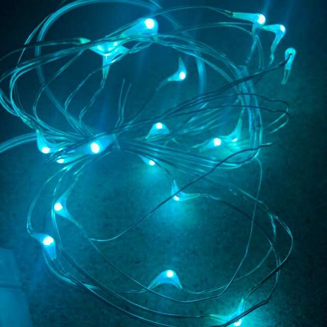 Submersible Waterproof String Fairy Lights 20 LED per String. | Etsy