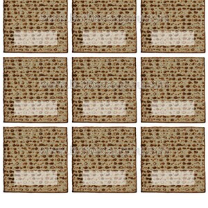 Printable Matzah Place Cards, Passover Seder Name Tags (digital ...