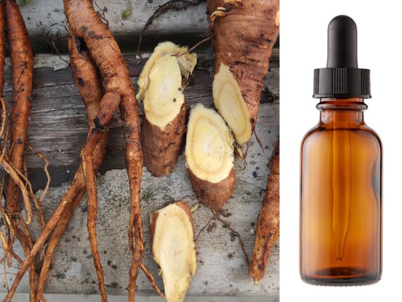 What Is Yellow Dock Root