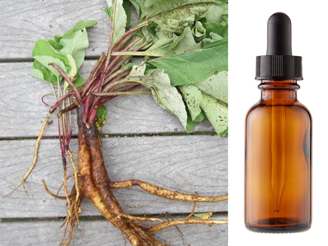 Burdock Root Tincture Herbal Concentrate Botanical Tonic Floral Extract ...