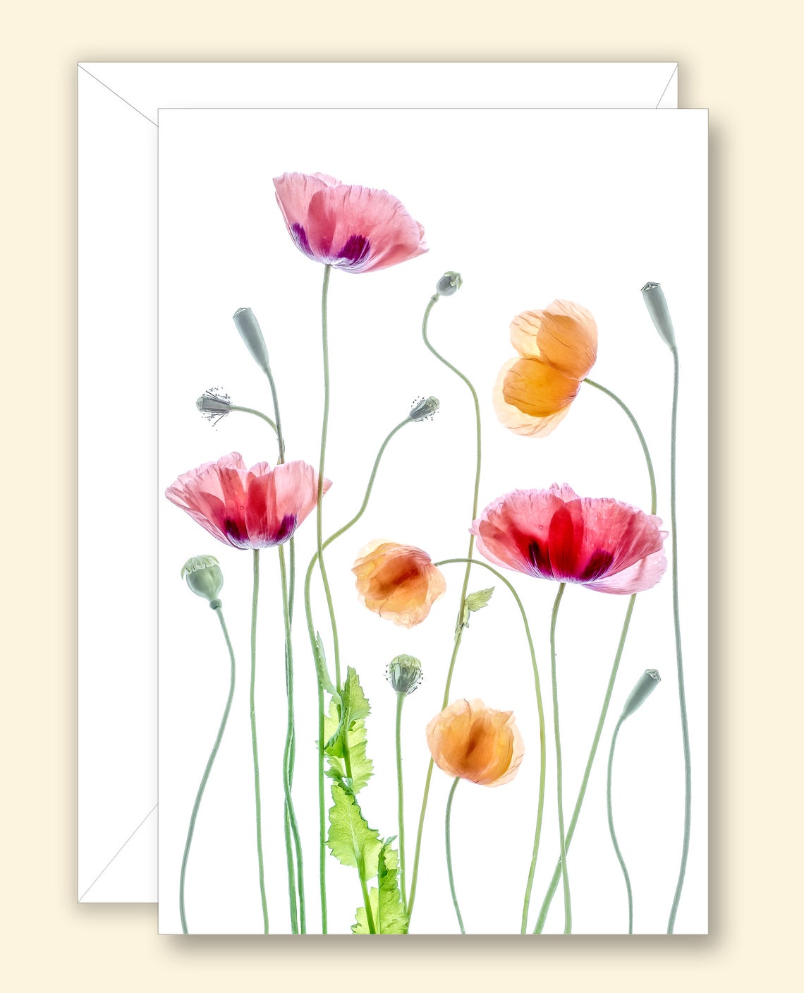 Poppy Greeting Card - Etsy