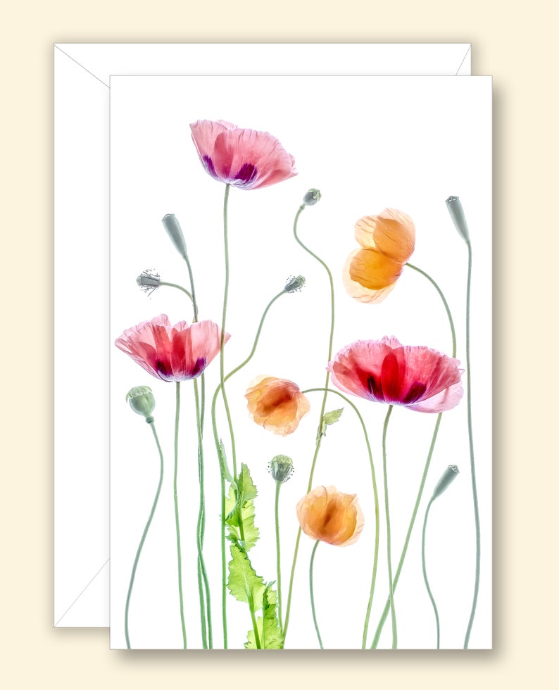 Poppy Greeting Card - Etsy