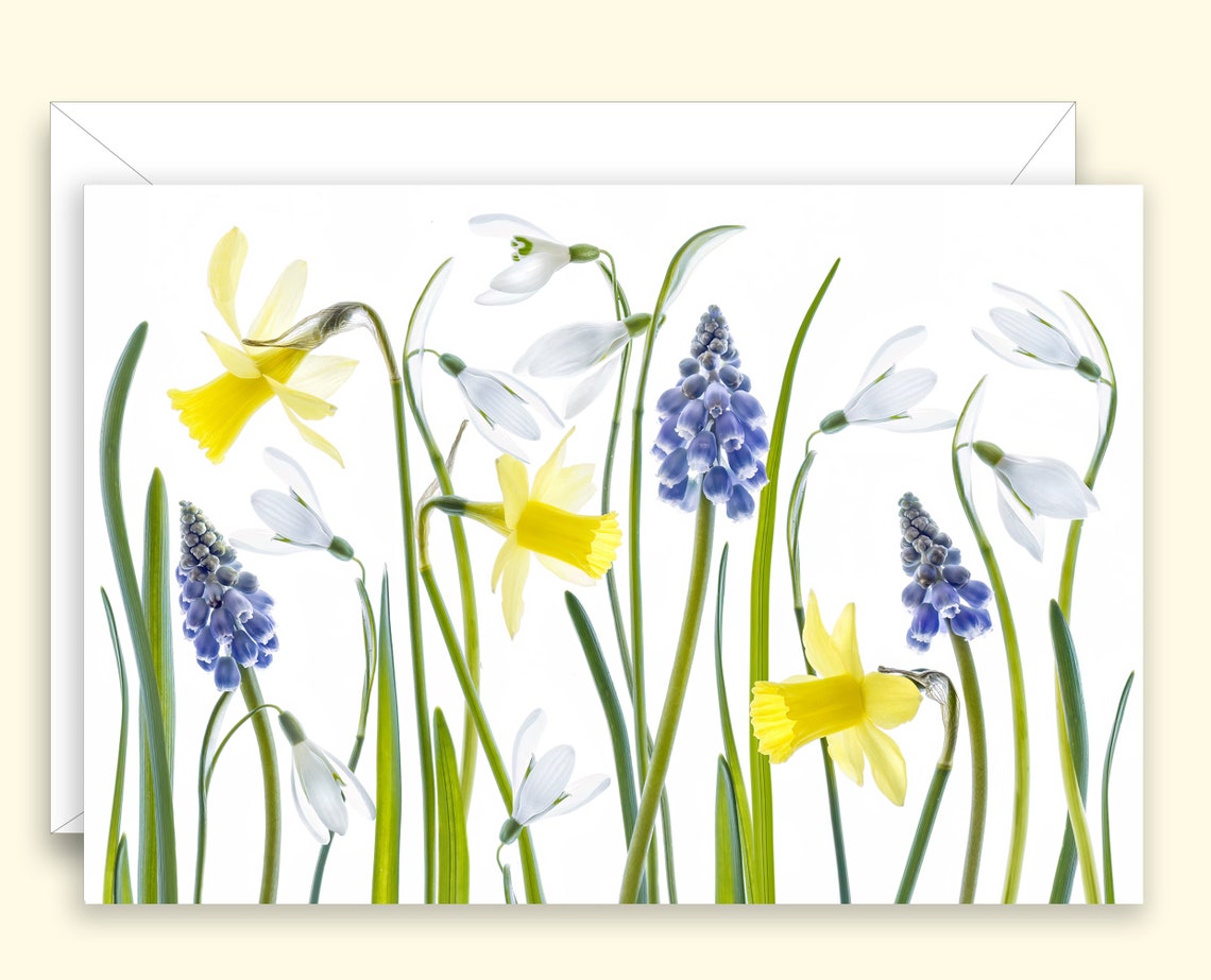 Spring Flowers Greeting Card - Etsy UK