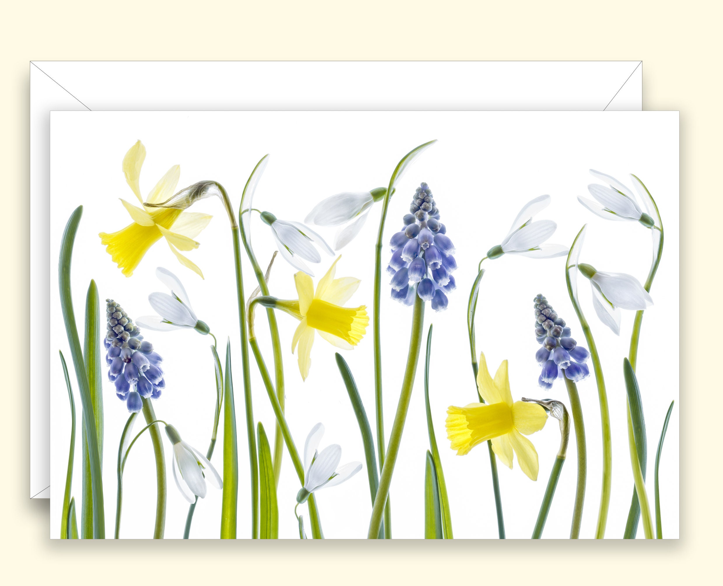 Spring flowers greeting card | Etsy